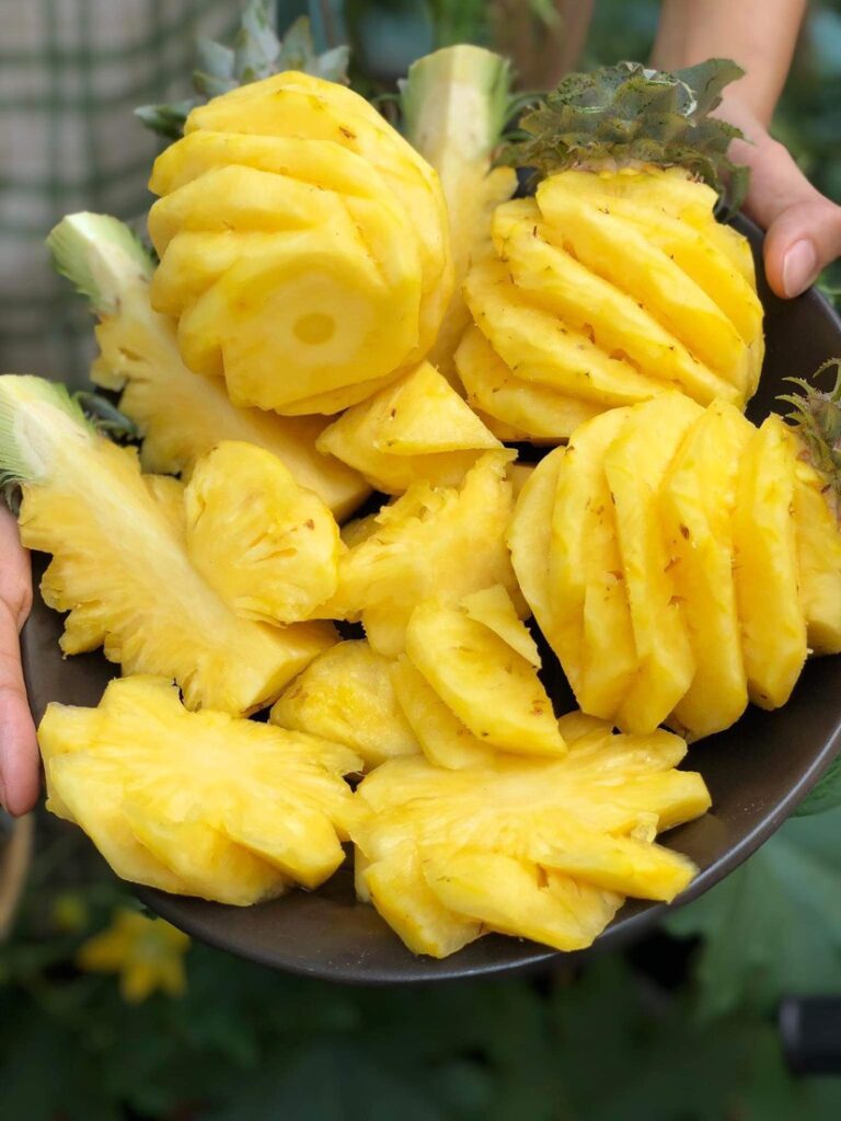 Dứa Queen Amango - Sunrisefuits